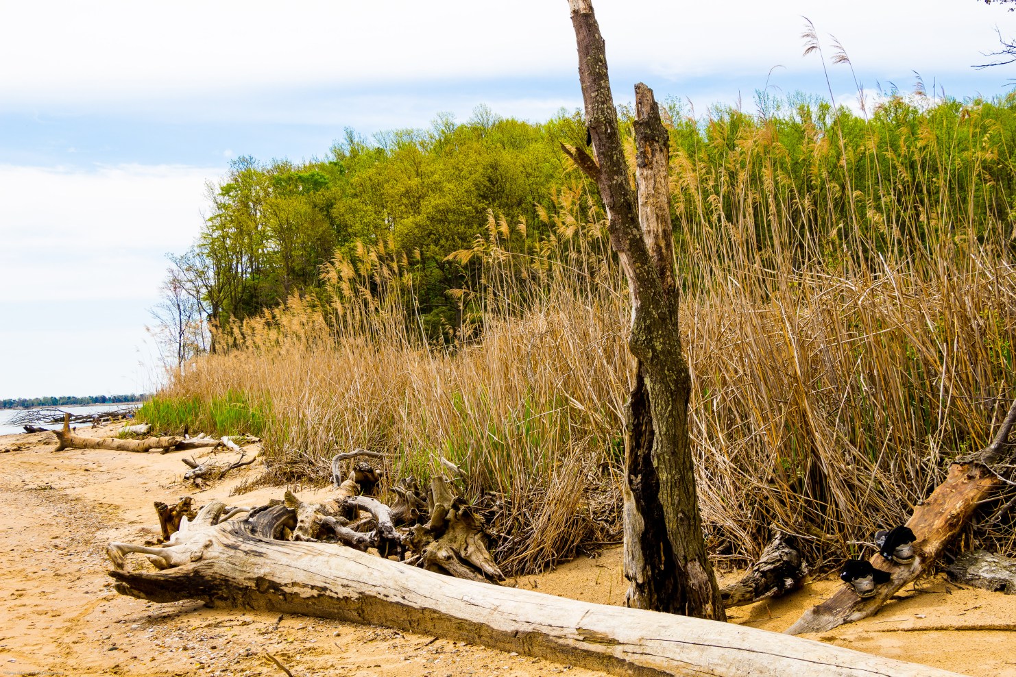 Avoid the Bay Bridge and Discover the Beaches of Calvert County ...